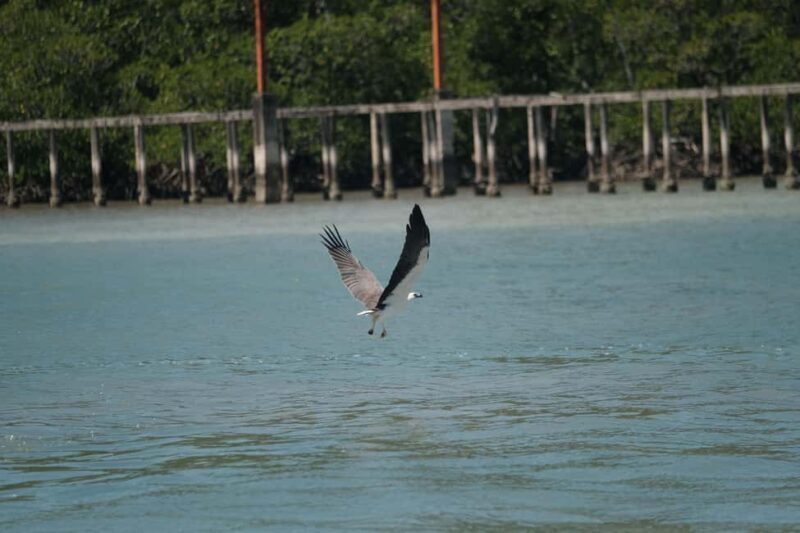 4H Supercharged Jetski Private Tour Langkawi + Drone - Final Words