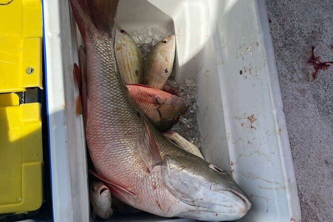 4HR-Halfday Private Fishing Tour in Gracebay - FAQ