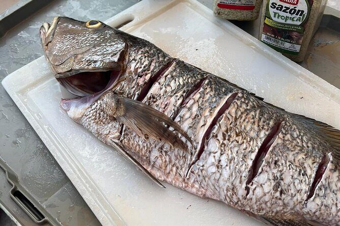 4HR-Private Half-Day Exploration in Gracebay - A Close Look at the Experience