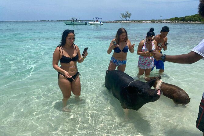 4hr Private Tour Island Hop Snorkel w/ Turtles & Sip Bahama Mamas - FAQ