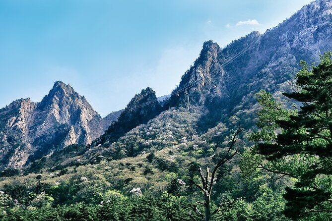 4N Seoul & Nami Island & Sokcho (Mt. Seorak) with 4 star hotel - A Deep Dive: What to Expect on This 4-Night Adventure