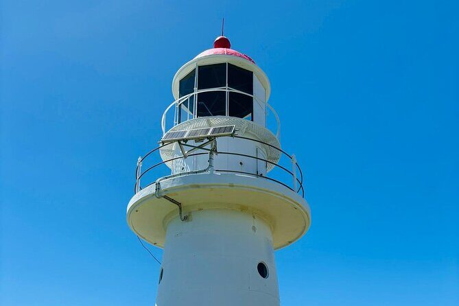 4WD Beach and Walking Tour Adventure (Half Day) - Final Thoughts