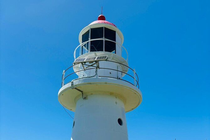 4WD Beach and Walking Tour Double Island Point (Full Day) - Who Would Love This Tour?