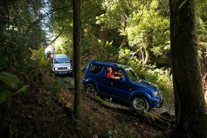 4WD Bush Safari at Off Road NZ - What to Expect on Your 45-Minute Off-Road Journey