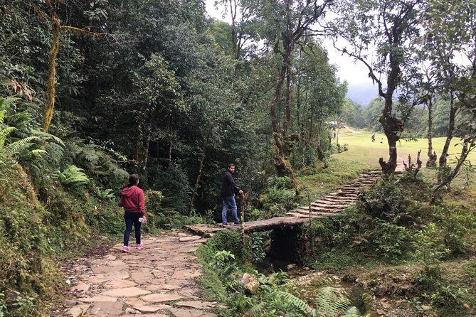 4WD Drive to Dhampus and Easy Hiking to Australian Camp from Pokhara - Overview of the Experience
