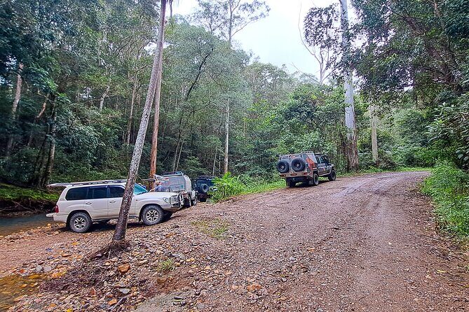 4WD Guided Day Trip In D'Aguilar National Park - Analyzing the Value