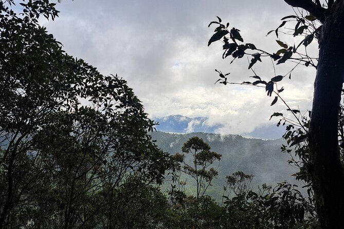 4WD Guided Day Trip In D'Aguilar National Park - Who Will Love This Tour?