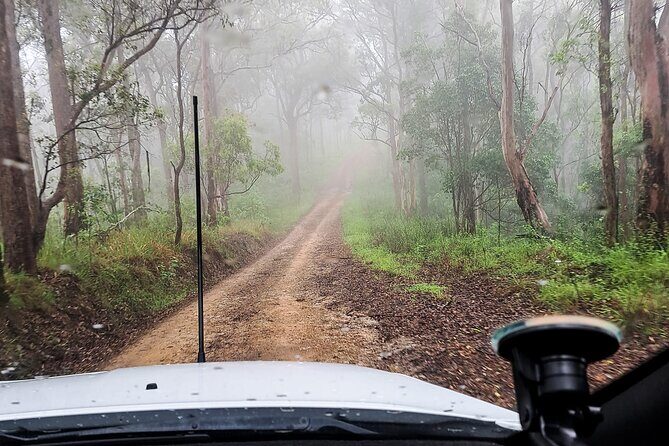 4WD Guided Day Trip In D'Aguilar National Park - The Sum Up