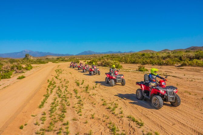 4x4 ATV Adventure with Tequila tasting and Mexican buffet lunch - The Sum Up
