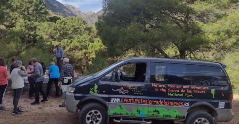 4x4 in the heart of the Sierra de las Nieves National Park - What You’ll Do During the Tour