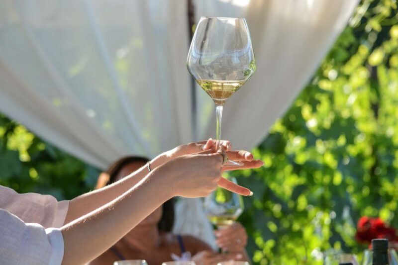 4x4 Jeep Vineyard Safari Tour with Lunch and Wine Tasting - The Sum Up: Is It Worth It?