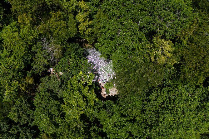 4x4 Jungle Thrills Off Road Buggy Adventure to Cenote and Beach - The Sum Up