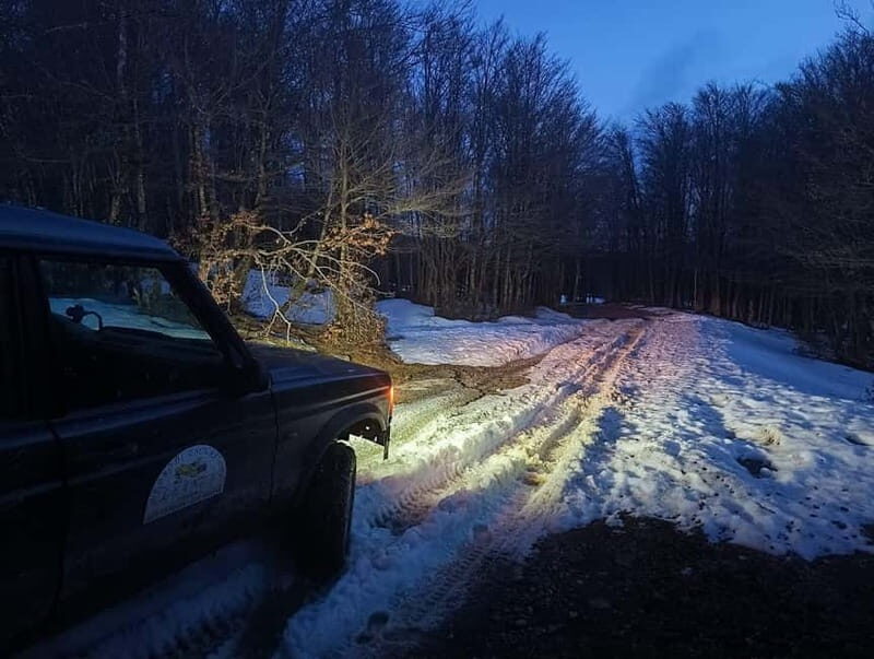 4x4 Night Tour in The Nebrodi Park from Cesarò - FAQ