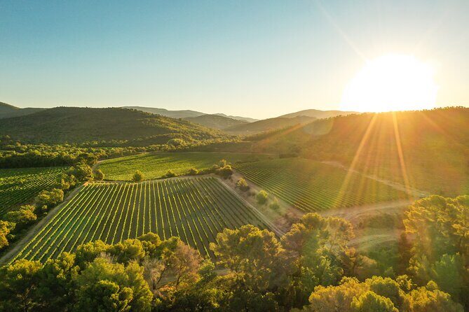 4x4 ride in a winery followed by a tasting - An In-Depth Look at the Experience