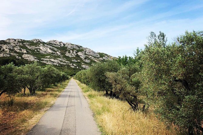 4x4 safari - 4h Alpilles Provence - Departure from Arles - What to Expect from the Experience