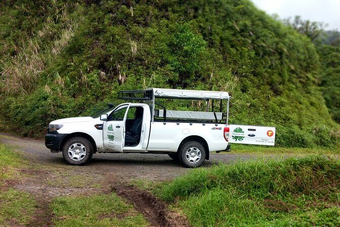 4x4 Safari HEREAKIMANU Tour in the Heart of Tahiti - Final Thoughts: Is This Tour Right for You?