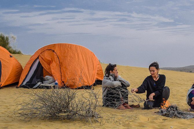 4x4 Thar Desert Safari - What Makes This Tour Stand Out?