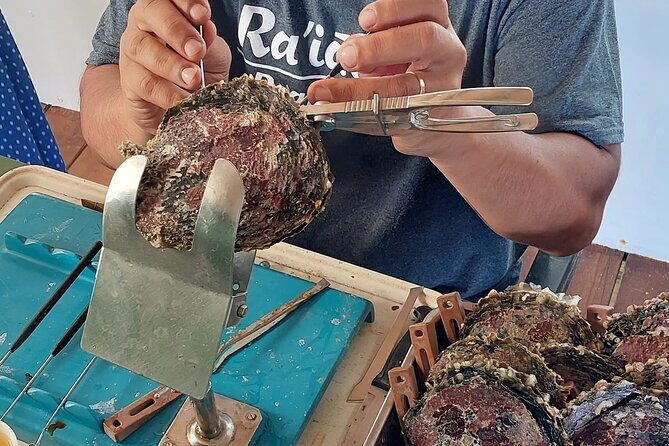 4x4 Tour - Craft and Agritourism Culture in Raiatea - The Itinerary in Detail: What to Expect
