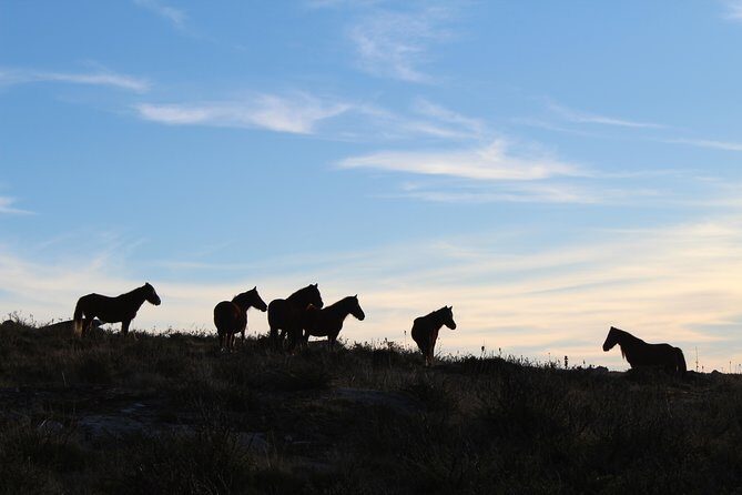 4X4 Tour - Discovering Serra d´ Arga - What Past Travelers Say