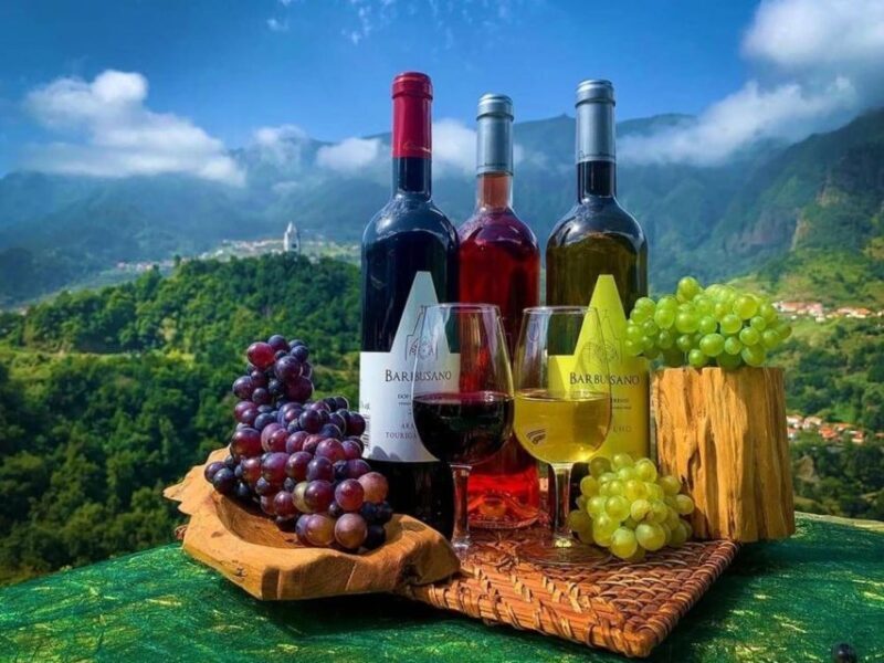 4x4 Tour Half Day Wine Tour - Key Points