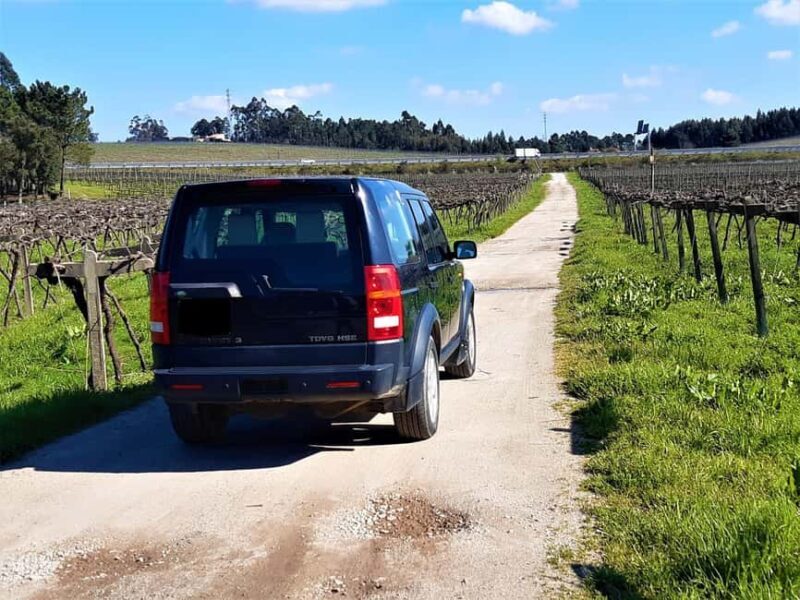 4x4 & Vinho Verde with transportation for the activity - A Deep Dive into the Tour Itinerary