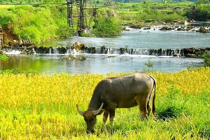 5, 6, 7 day Vietnam Itinerary | Charming | 2025 Northern Packages - Exploring Hanoi and the Cultural Highlights