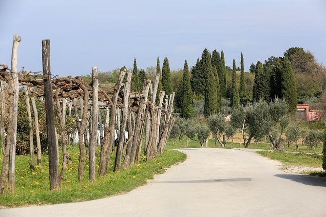 5-Course Food Tour with Electric Bikes - Weather and Cancellation