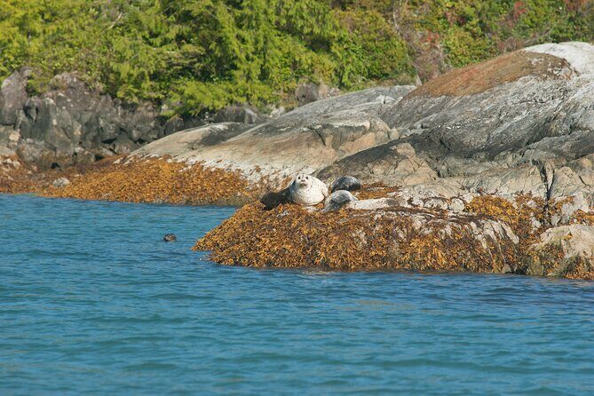 5-Day Adventure Tour in Vancouver Island Exploration - FAQs