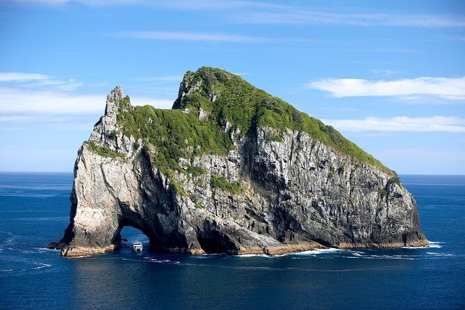 5-Day Bay of Islands, Auckland, Hobbiton, Rotorua & Waitomo Tour - Final Thoughts