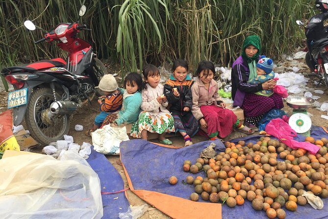 5-Day Best North Vietnam Tour: Ba Be Lake - Ban Gioc Waterfall - Ha Giang Loop - What Travelers Say & What to Expect