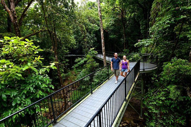 5-Day Best of Cairns with Daintree, Kuranda, and Great Barrier Reef - Key Points