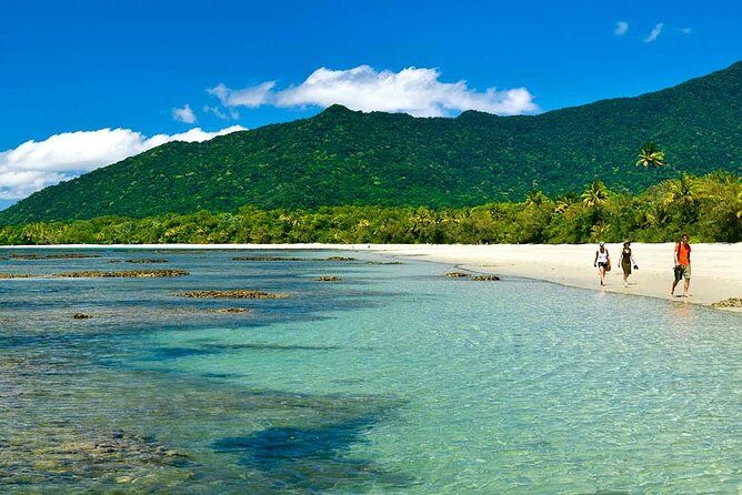 5-Day Best of Cairns with Daintree, Kuranda, and Great Barrier Reef - The Overall Value