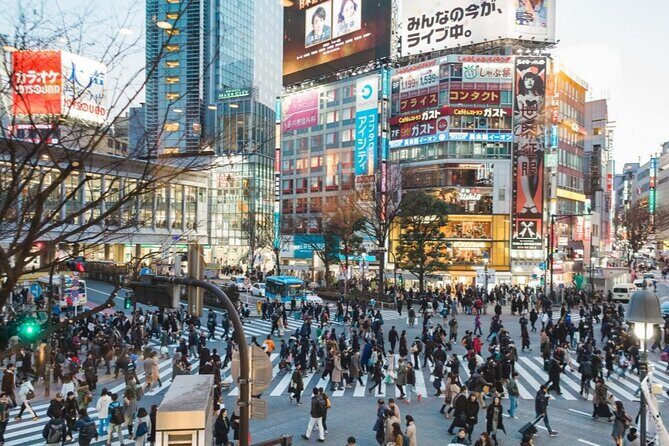 5 Day Best of Japan Tokyo to Kyoto Small Group Tour - Final Thoughts