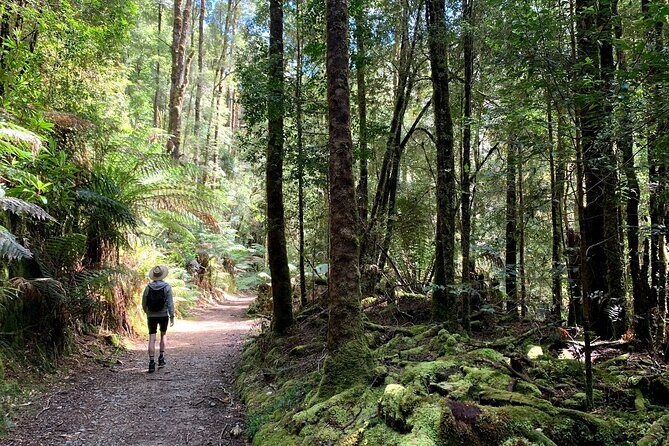 5-Day Best of Tasmania Tour from Hobart - Frequently Asked Questions