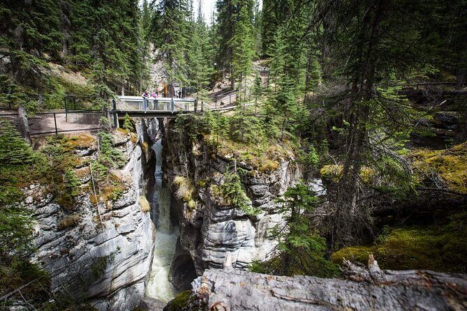 5 Day Canadian Rockies, Banff, Lake Louise, Moraine Lake, Jasper - Who Should Consider This Tour?