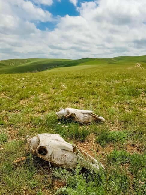 5 day Central Mongolia and Nomad stay tour - FAQ
