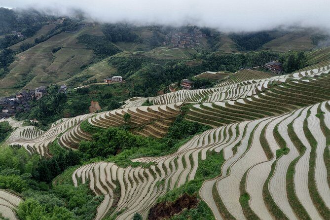 5-Day China Private Tour from Shanghai to Guilin with Flight - Exploring the First Day in Shanghai