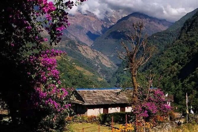 5 Day Easy Annapurna Base Camp Trek - An Honest Look at the 5-Day Annapurna Base Camp Trek