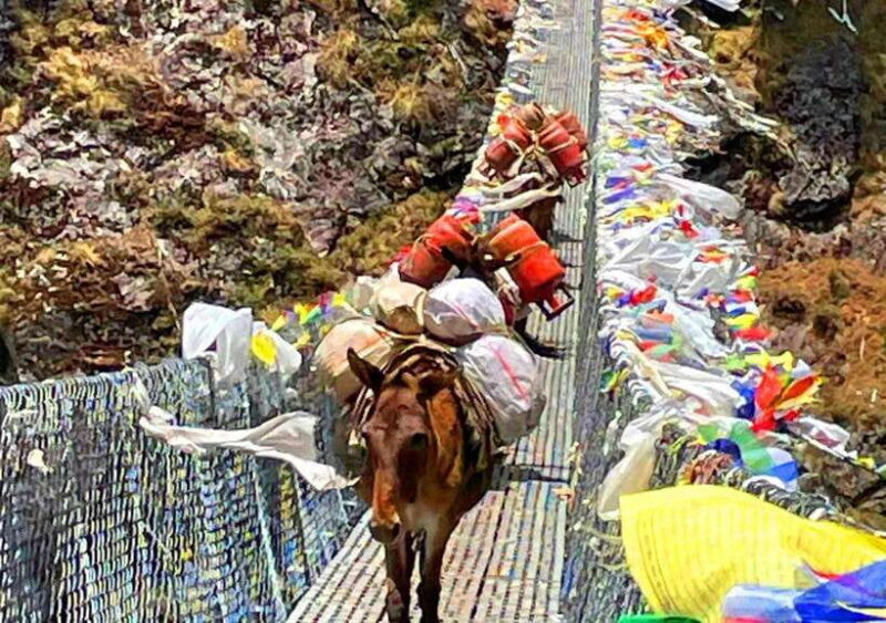 5-Day Everest Tour with Breakfast at Everest View Hotel - Frequently Asked Questions