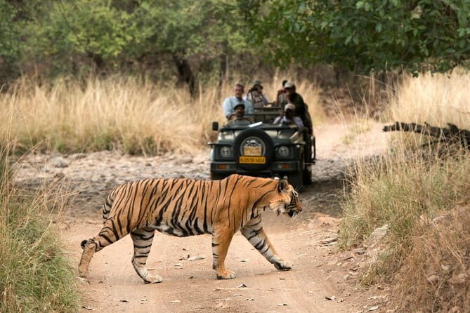 5-Day Golden Triangle with Ranthambore & Bharatpur Tour - FAQ