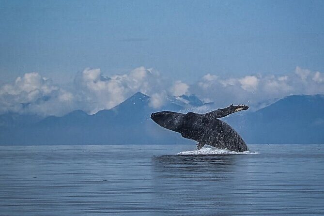 5 Day Jetski Expedition: Southeast Alaskan Adventure from Juneau - Frequently Asked Questions