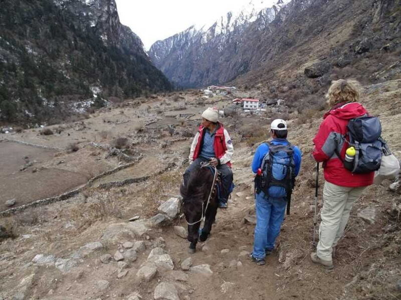 5 Day Langtang Valley Trek; Guide; Transport; permit - Practical Details & Tips