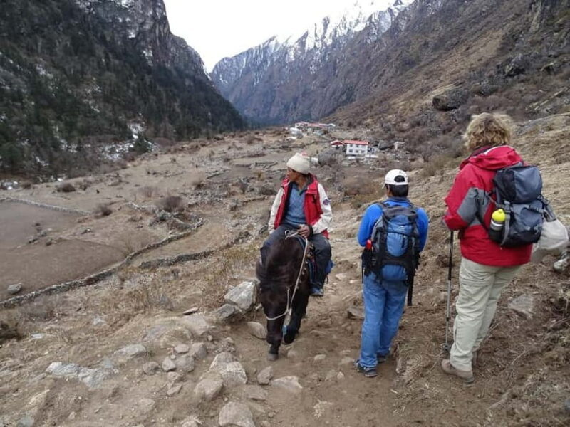 5 Day Langtang Valley Trek; Guide; Transport; permit - Authenticity & Traveler Feedback