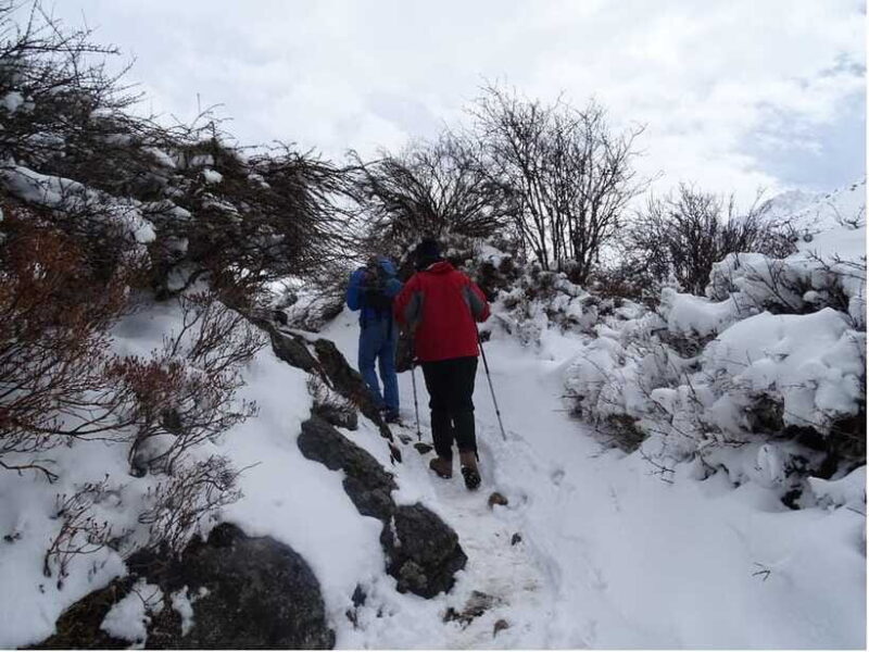 5 Day Langtang Valley Trek; Guide; Transport; permit - Final Thoughts: Who Will Love This Experience?