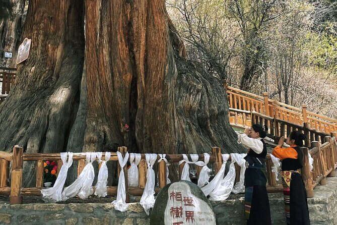 5-Day Luxury Tibet Tour with Culture, Lakes and Photo Shoot - FAQ