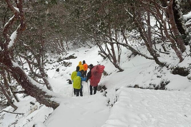 5 Day Mardi Himal Base Camp Trek in Pokhara - The Sum Up