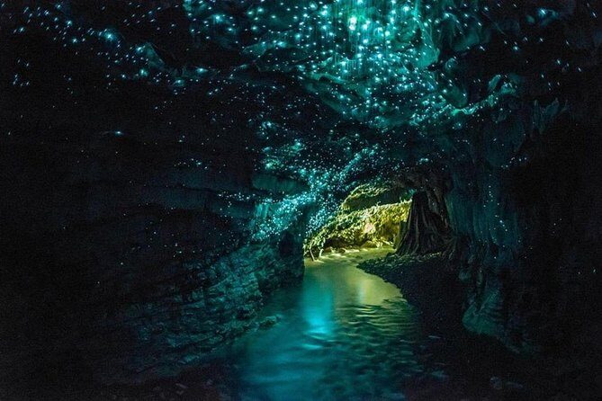 5-Day New Zealand North and South Island Highlights Tour - Key Points