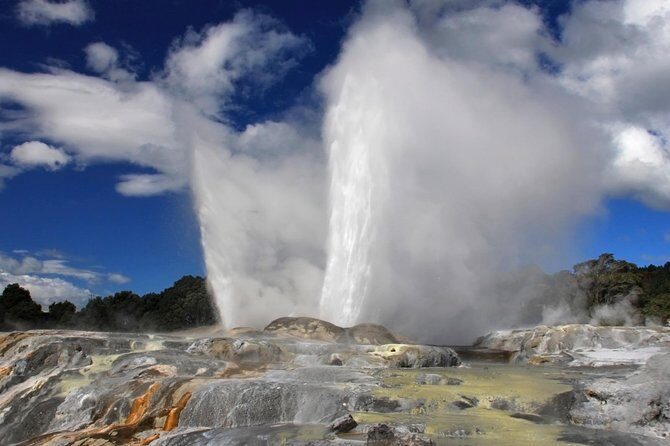 5-Day New Zealand North and South Island Highlights Tour - Authentic Experiences and Traveler Feedback