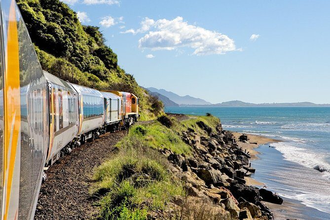 5-Day New Zealand North and South Island Highlights Tour - Who Is This Tour Best For?