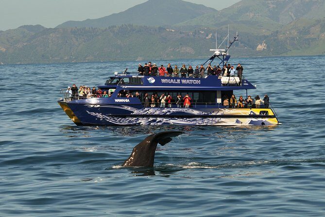 5-Day New Zealand North and South Island Highlights Tour - Final Thoughts
